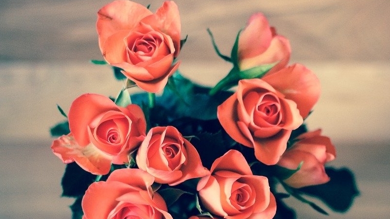 25 Sweet and adorable 6-month Anniversary Gifts - Gifting Area