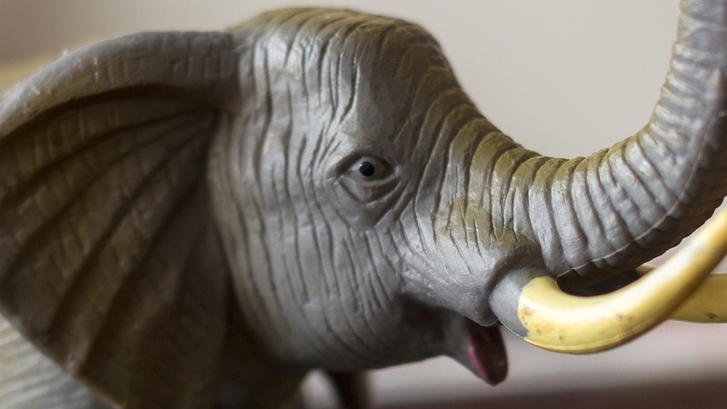 25 Adorable and Unforgettable Elephant Gifts - Gifting Area
